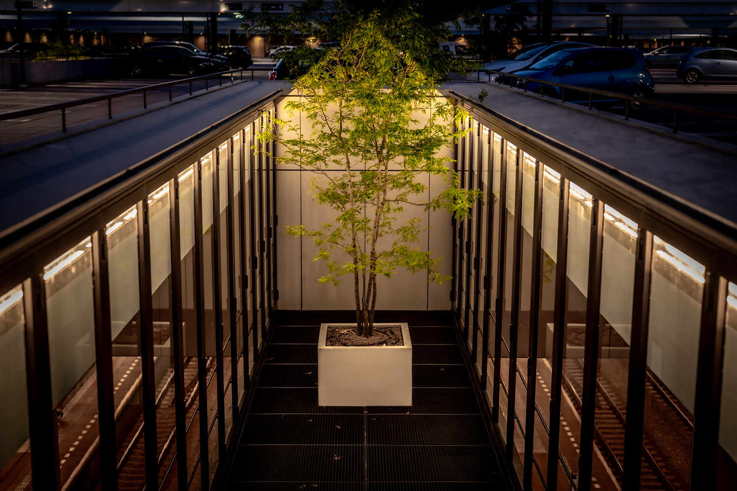 Tree boxes in front of Breda railway station - Anton Groep