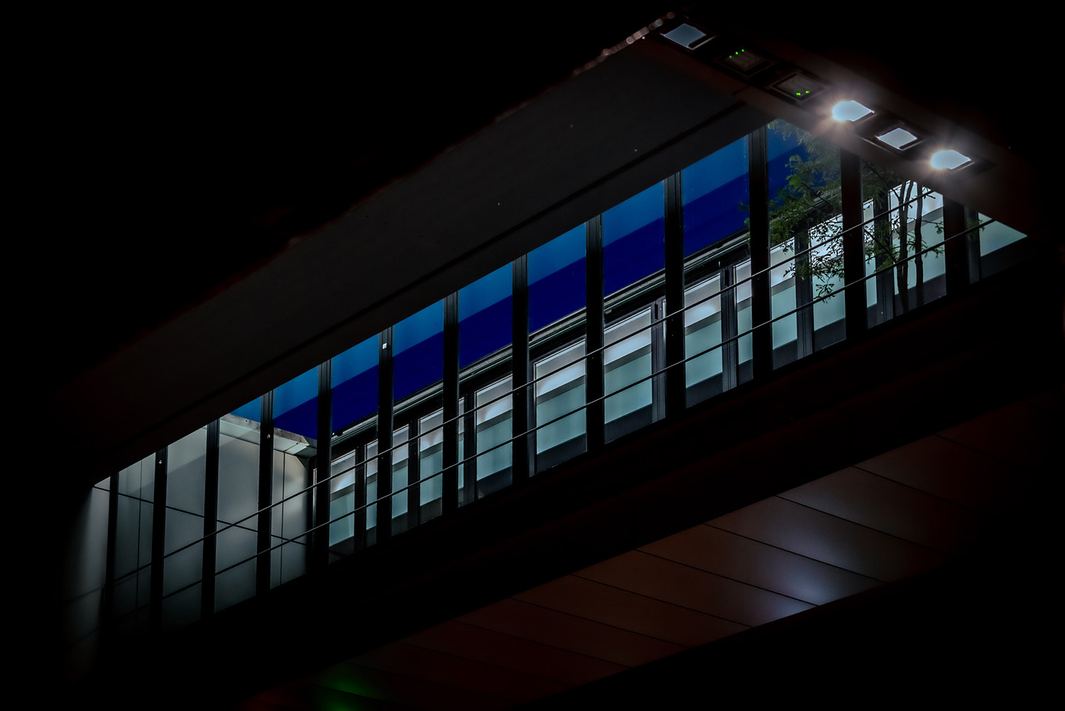 Tree boxes in front of Breda railway station - Anton Groep